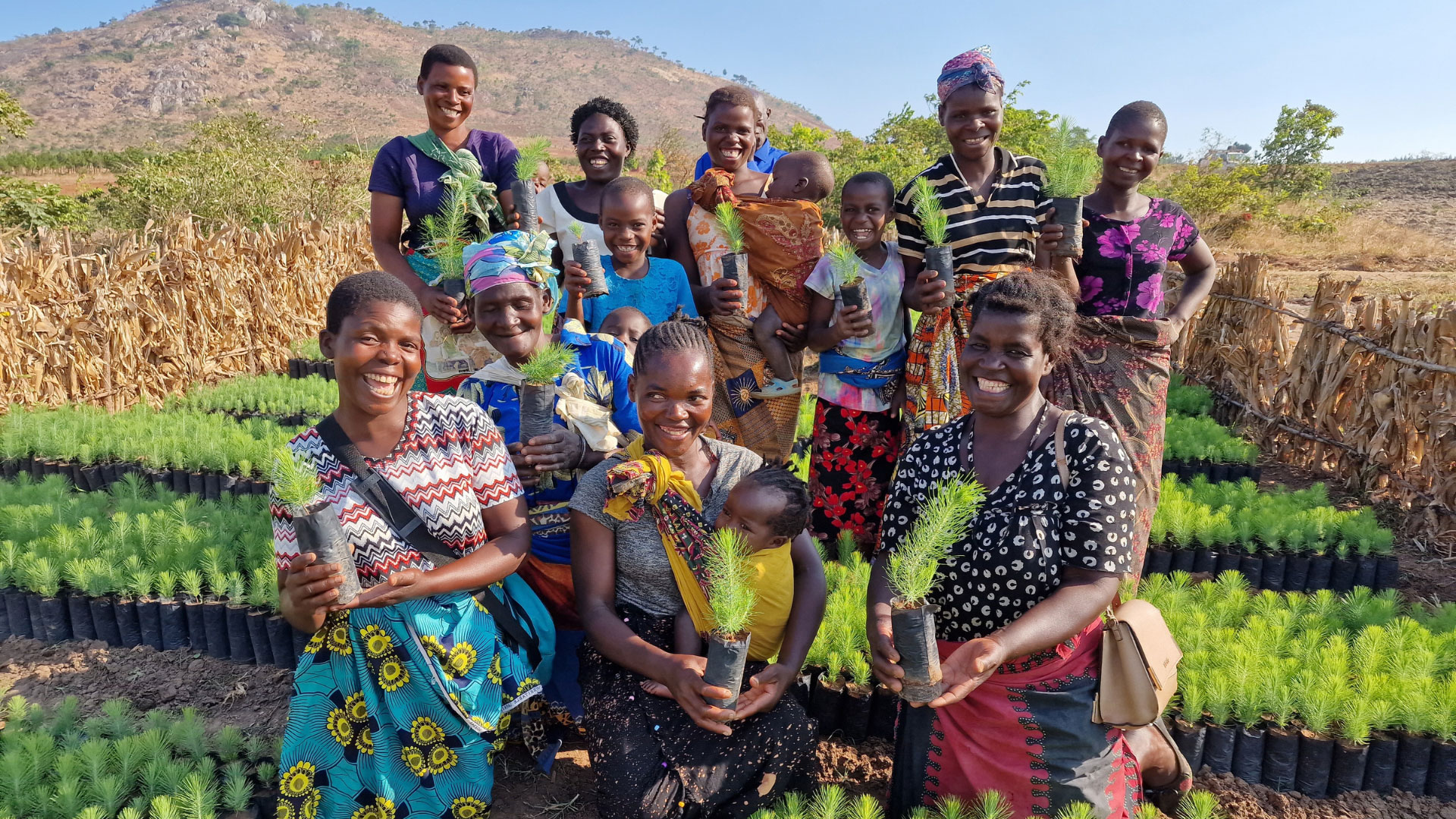 Corporate tree planting | Ready to be inspired?