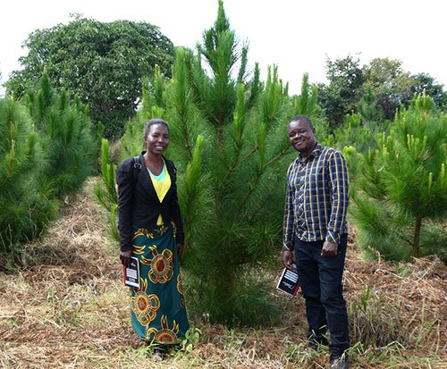 Tree Planting in Malawi | Community tree planting in Africa